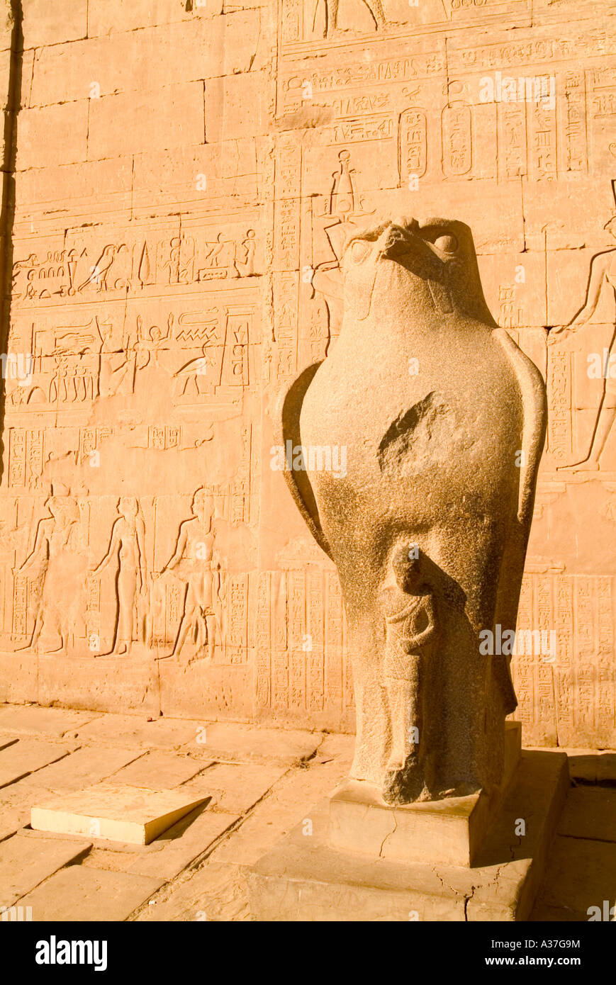 Ritratto di falco Horus esterno grande pilone del Tempio di Edfu ...