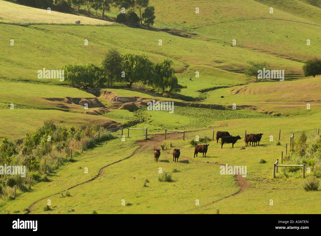 Burrone di erosione immagini e fotografie stock ad alta risoluzione - Alamy