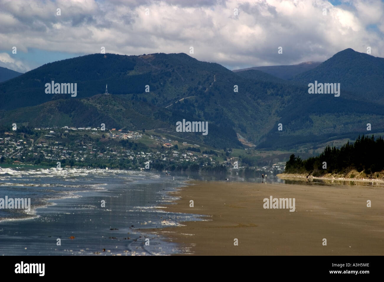 Signore, coniglio immagini e fotografie stock ad alta risoluzione - Alamy
