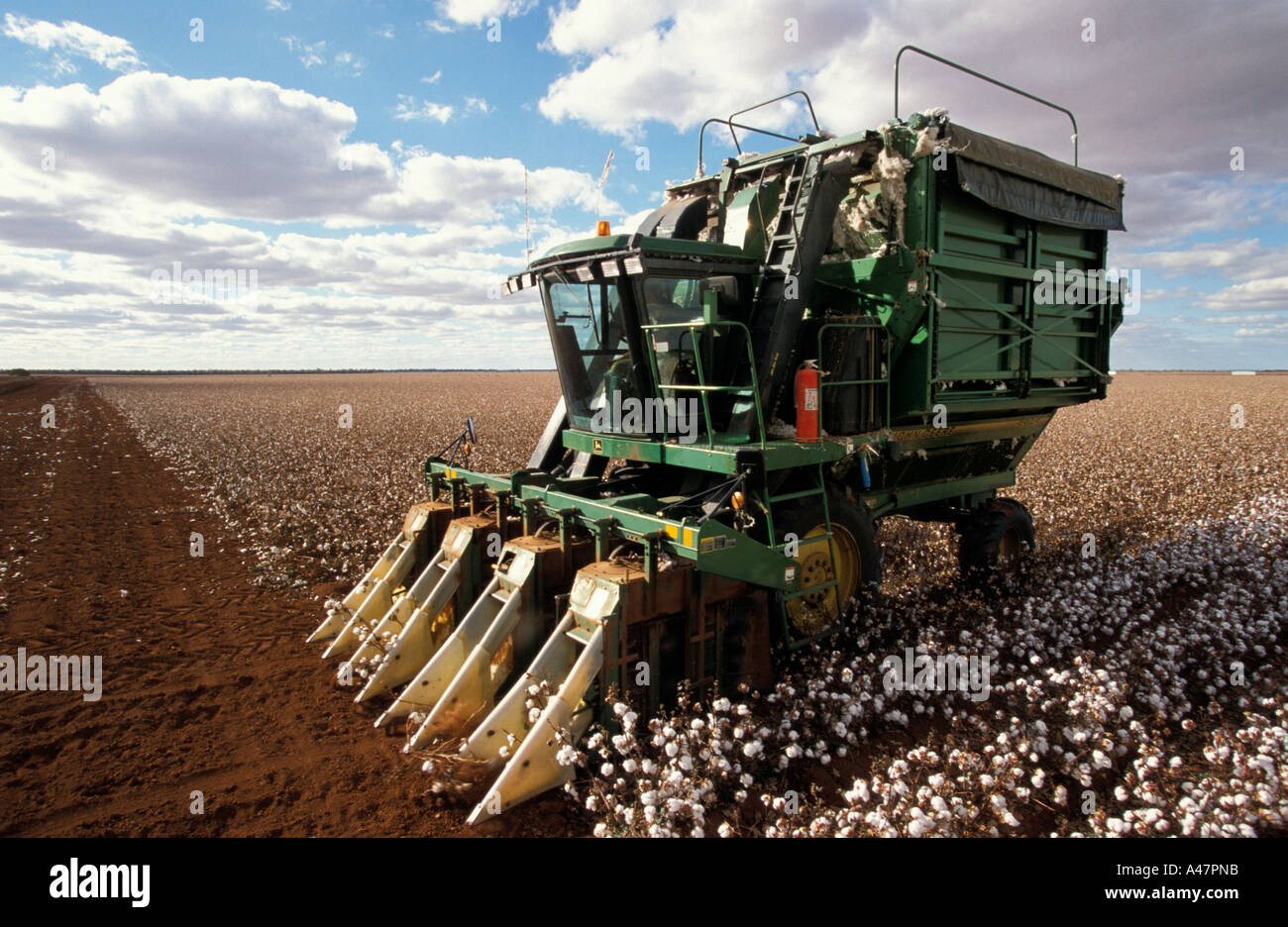 Nuova raccoglitrice di cotone immagini e fotografie stock ad alta ...