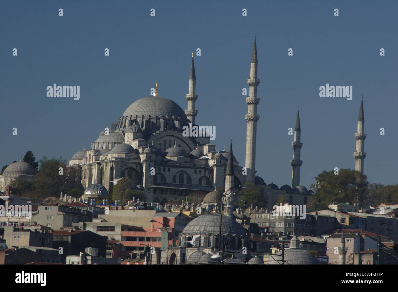 Rustem pasa camii immagini e fotografie stock ad alta risoluzione - Alamy