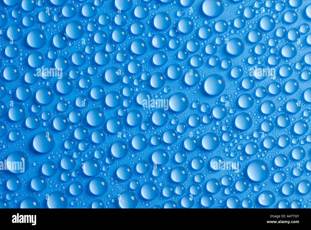 Accumulo di molti piccoli blu goccioline di acqua accumulata su una ...