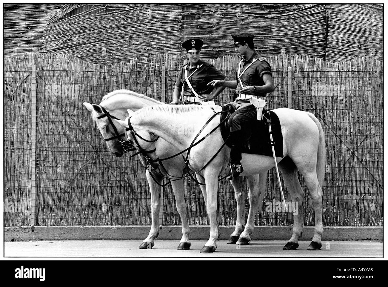 Polizia a cavallo italia immagini e fotografie stock ad alta ...