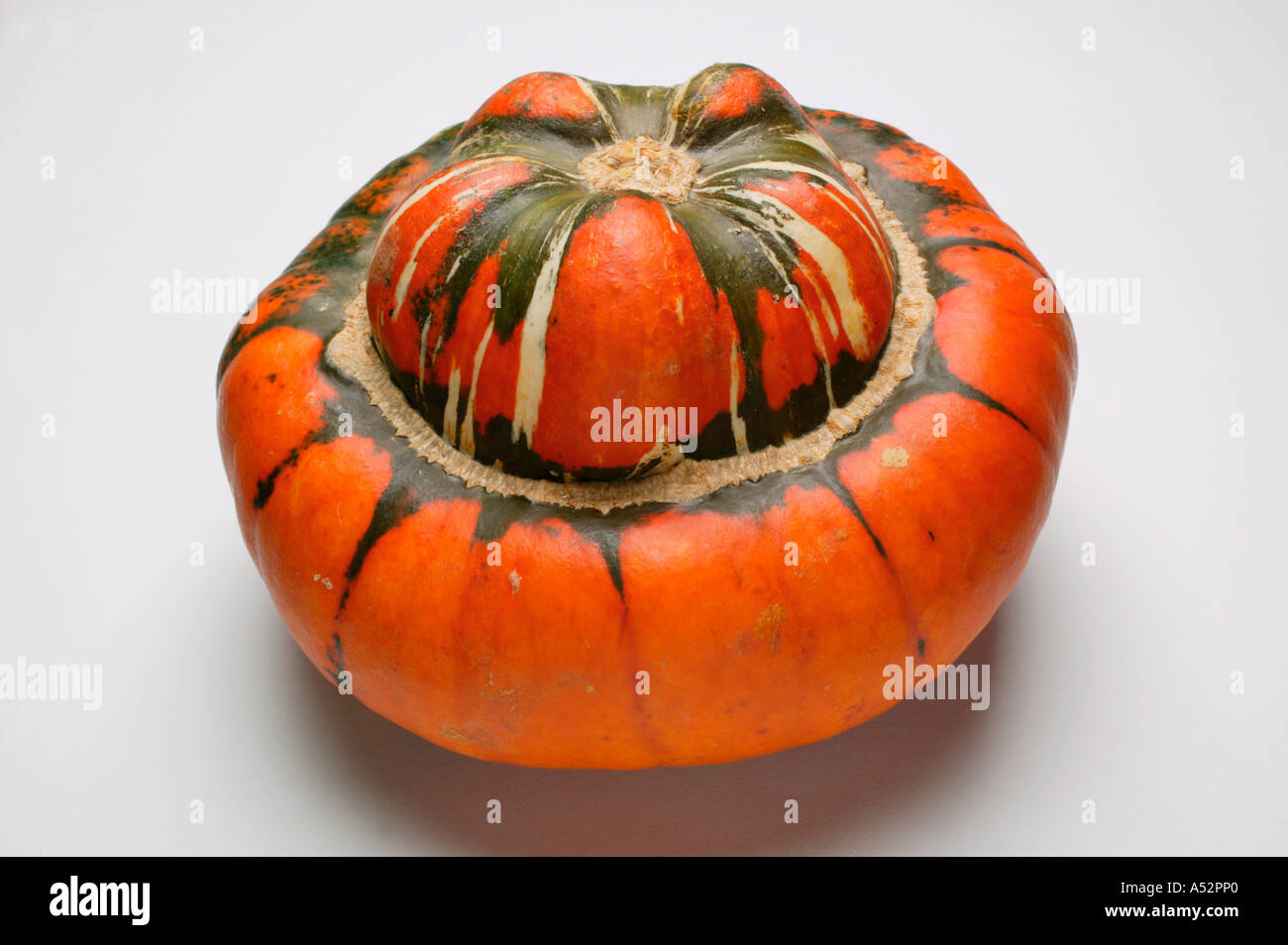 Turk turban squash immagini e fotografie stock ad alta risoluzione - Alamy