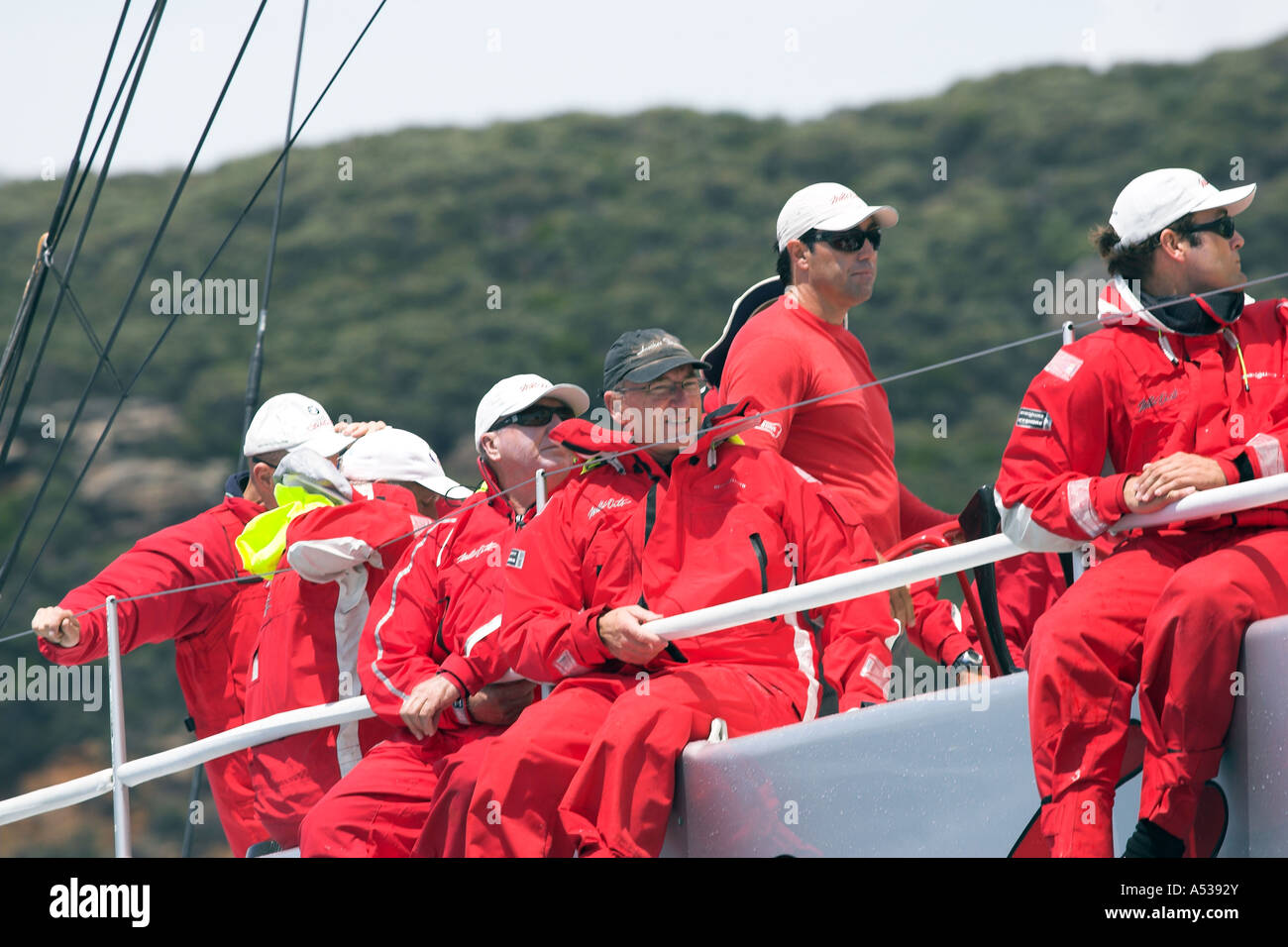 Avena selvatica immagini e fotografie stock ad alta risoluzione - Alamy