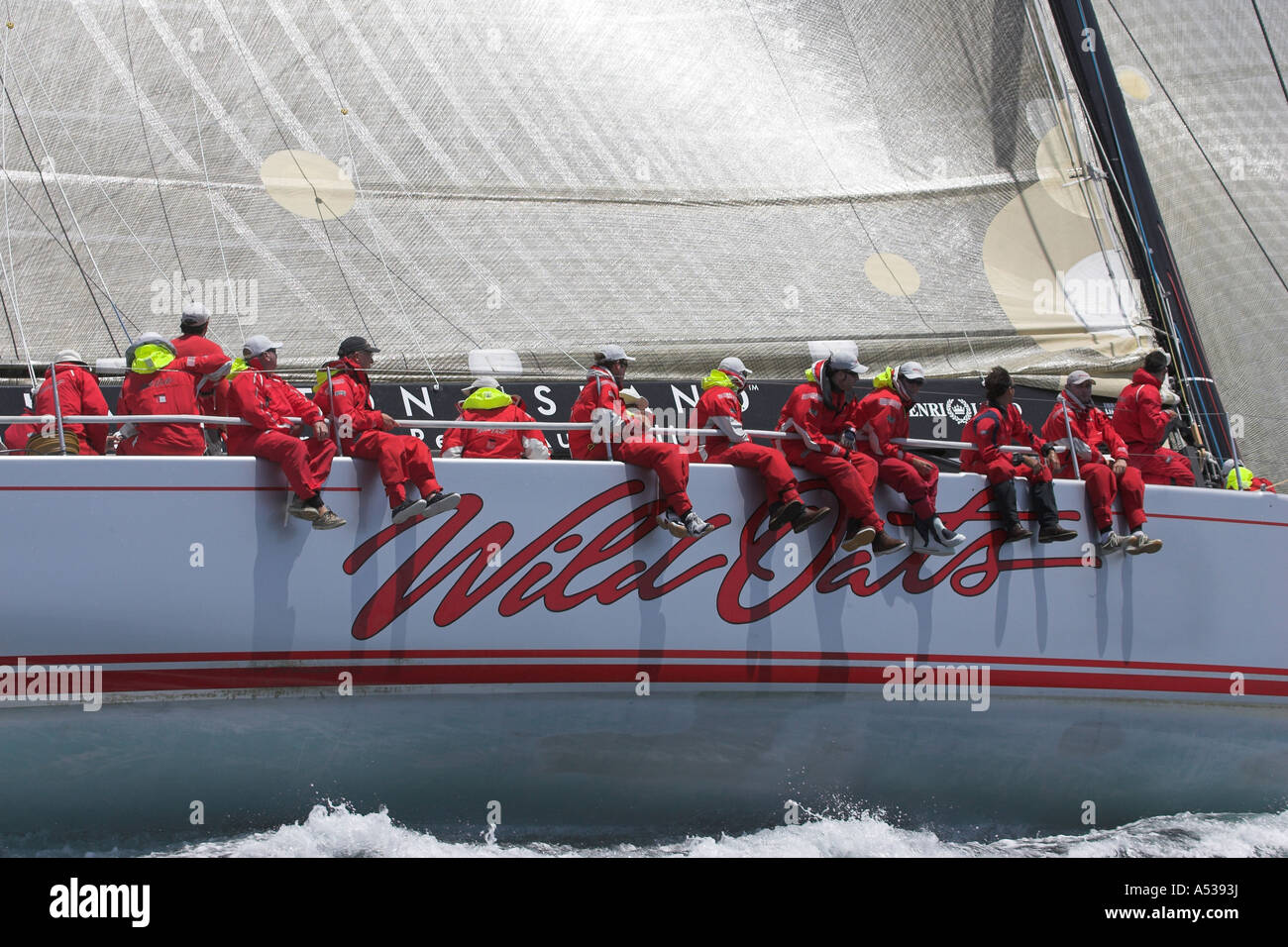 Avena selvatica immagini e fotografie stock ad alta risoluzione - Alamy