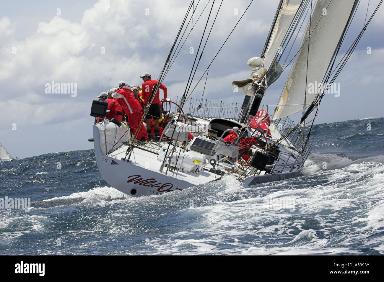 Avena selvatica immagini e fotografie stock ad alta risoluzione - Alamy