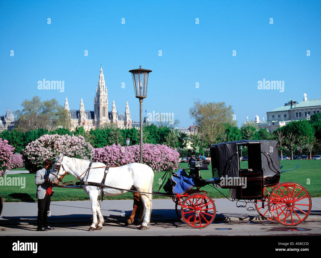 Carrozze a cavalli fiaker viennese immagini e fotografie stock ad alta ...
