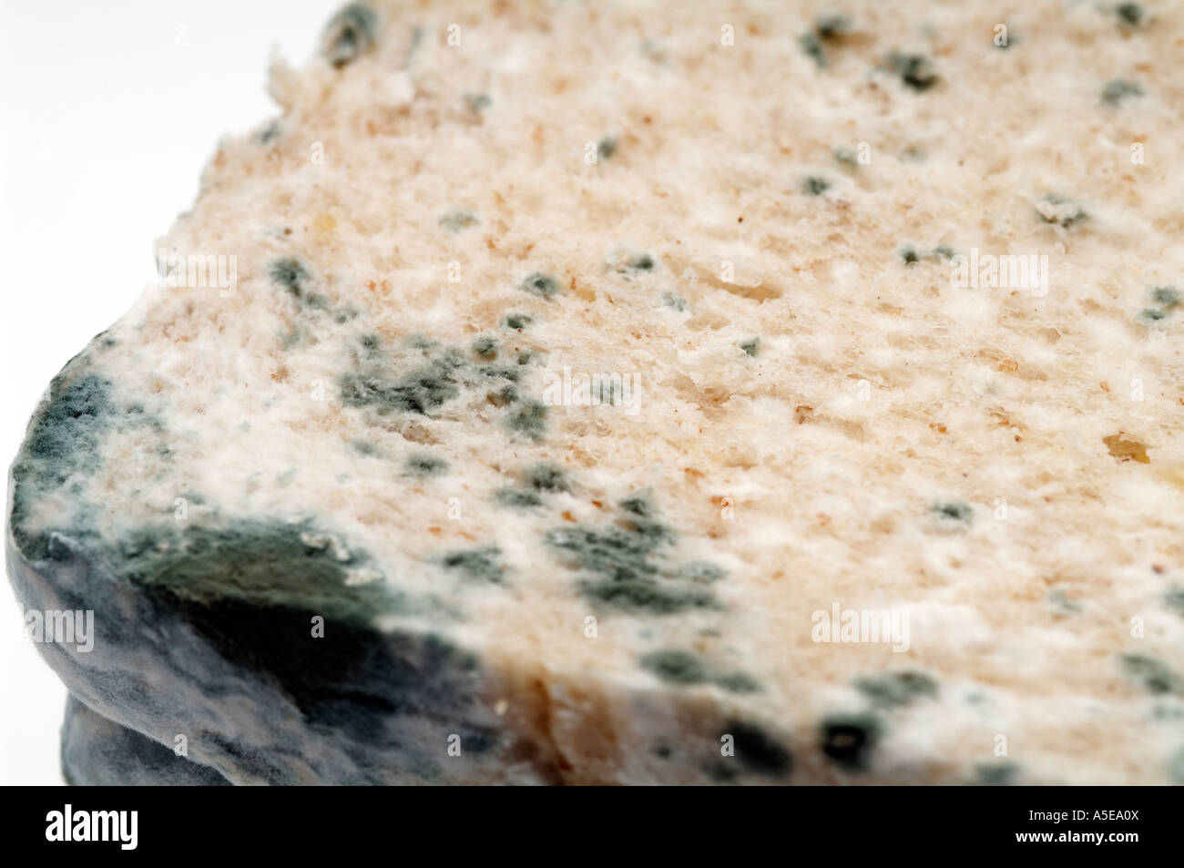 Food spoilage immagini e fotografie stock ad alta risoluzione - Alamy