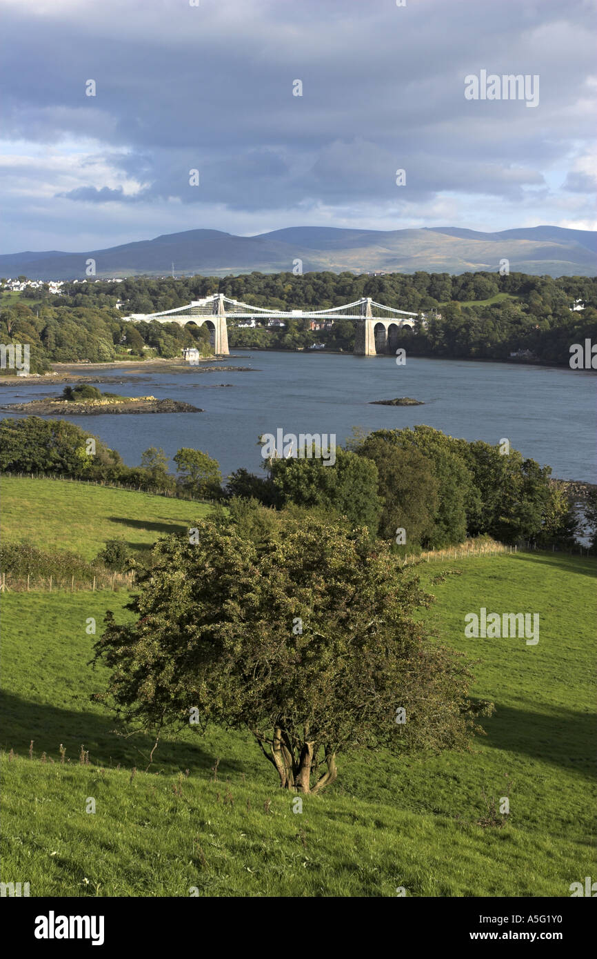 Stretto del ponte di menai immagini e fotografie stock ad alta ...