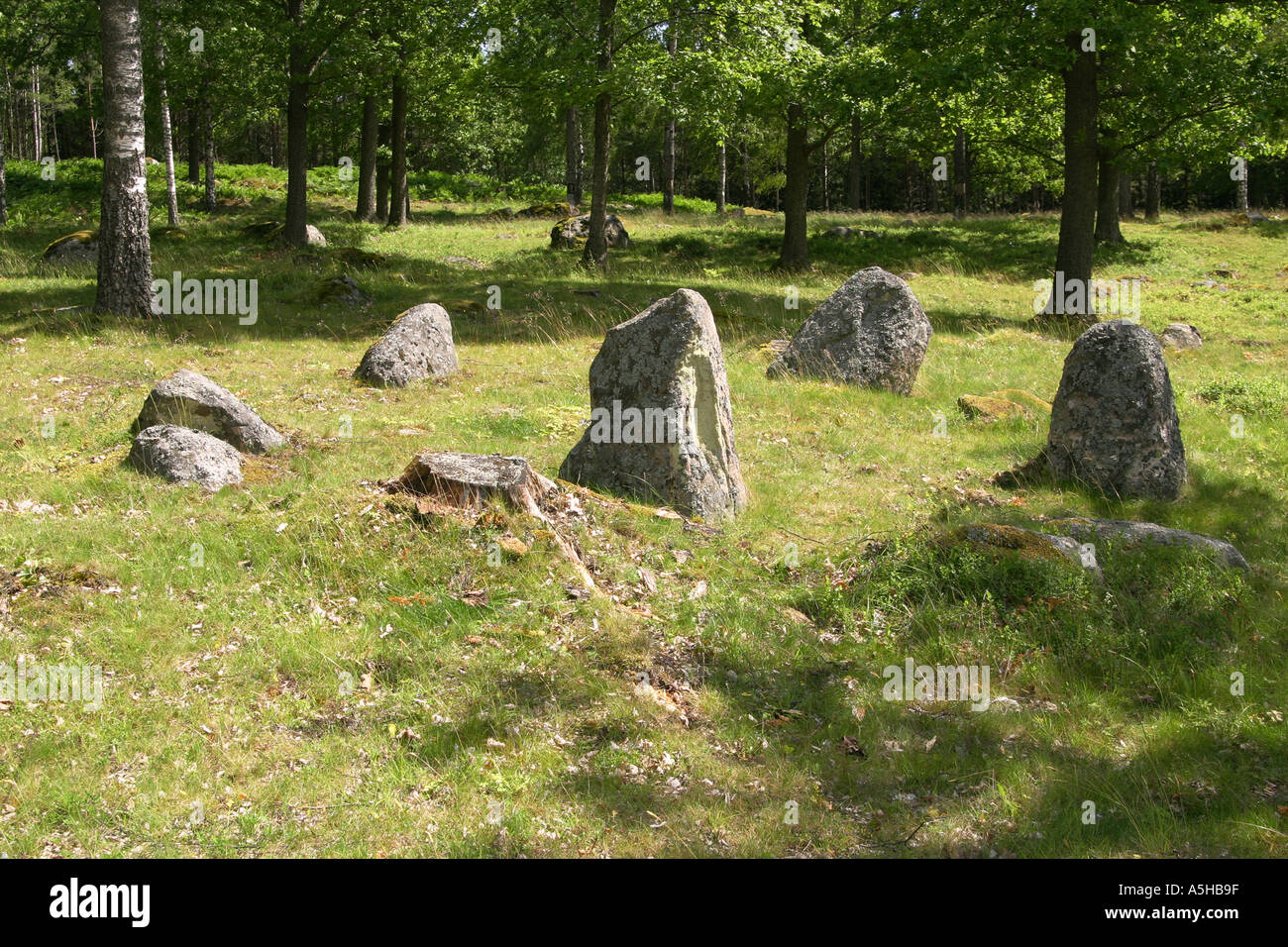 Età del ferro immagini e fotografie stock ad alta risoluzione - Alamy