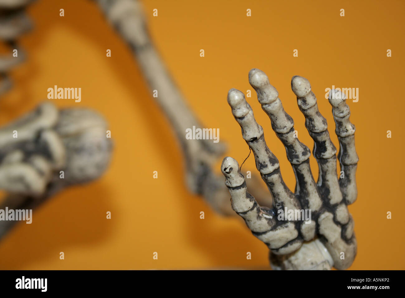 Scheletro bizzarro immagini e fotografie stock ad alta risoluzione - Alamy