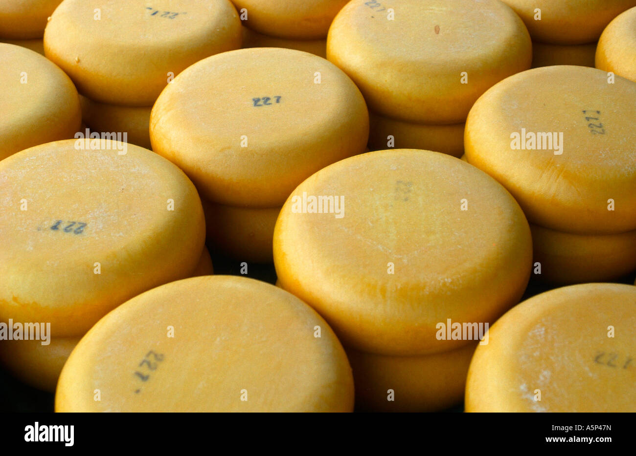 Al formaggio immagini e fotografie stock ad alta risoluzione - Alamy