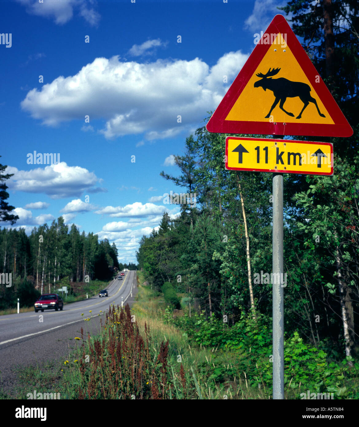 Alci cartello stradale pericolo foresta finlandia immagini e fotografie ...