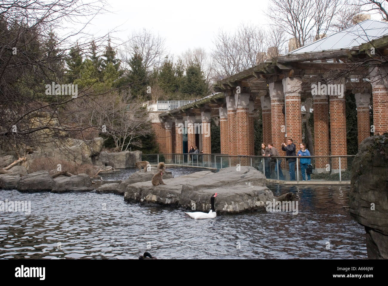 Zoo del central park new york america immagini e fotografie stock ad ...