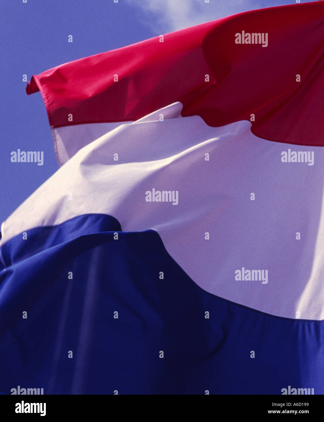 Bandiera olanda olandese immagini e fotografie stock ad alta ...