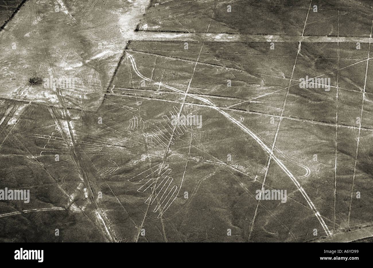 Linee di Nasca uccello simbolo del Perù Foto stock - Alamy