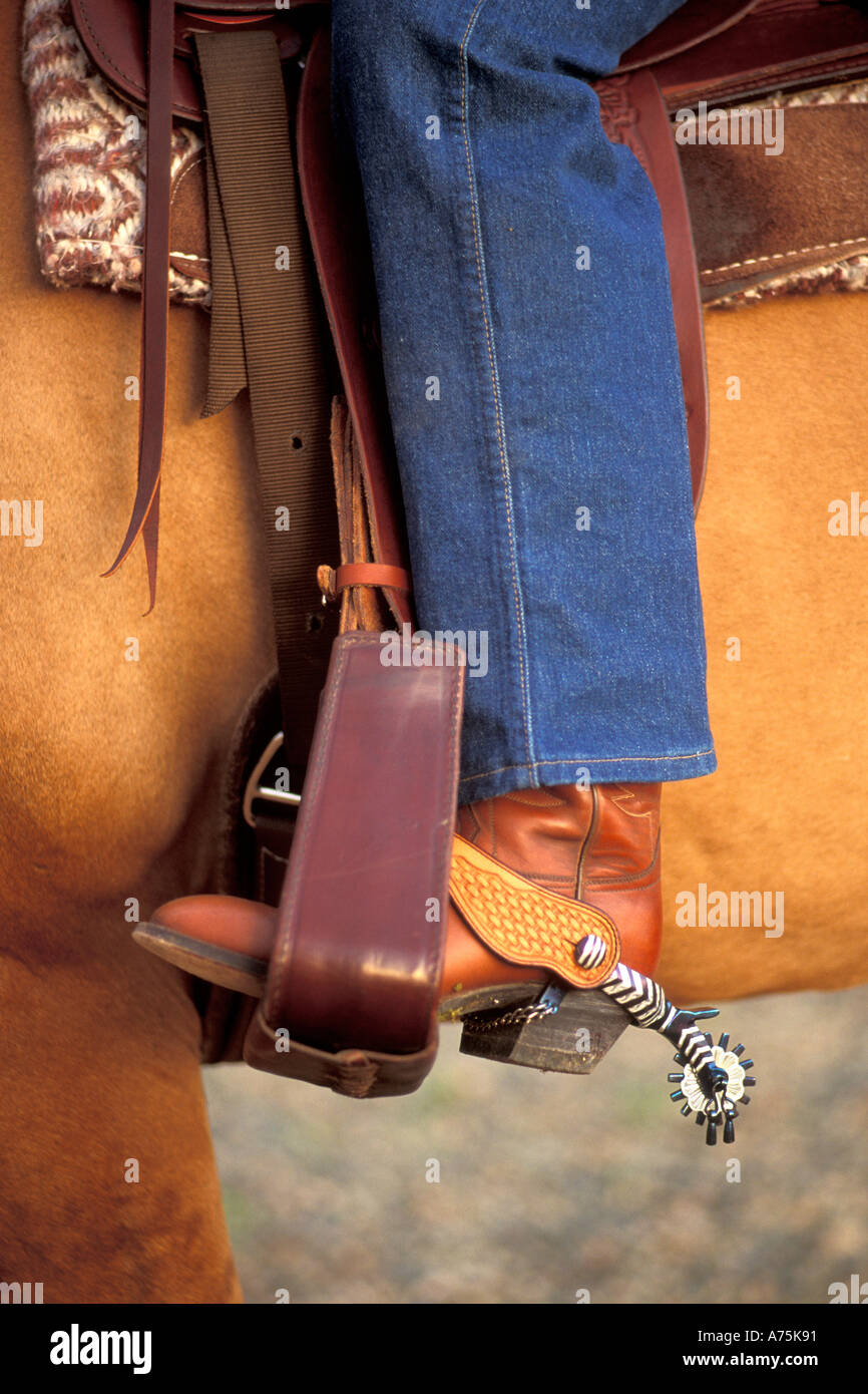 Sperone da cowboy immagini e fotografie stock ad alta risoluzione - Alamy