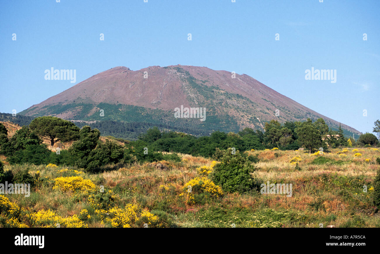 Vesuvio vulcan immagini e fotografie stock ad alta risoluzione - Alamy