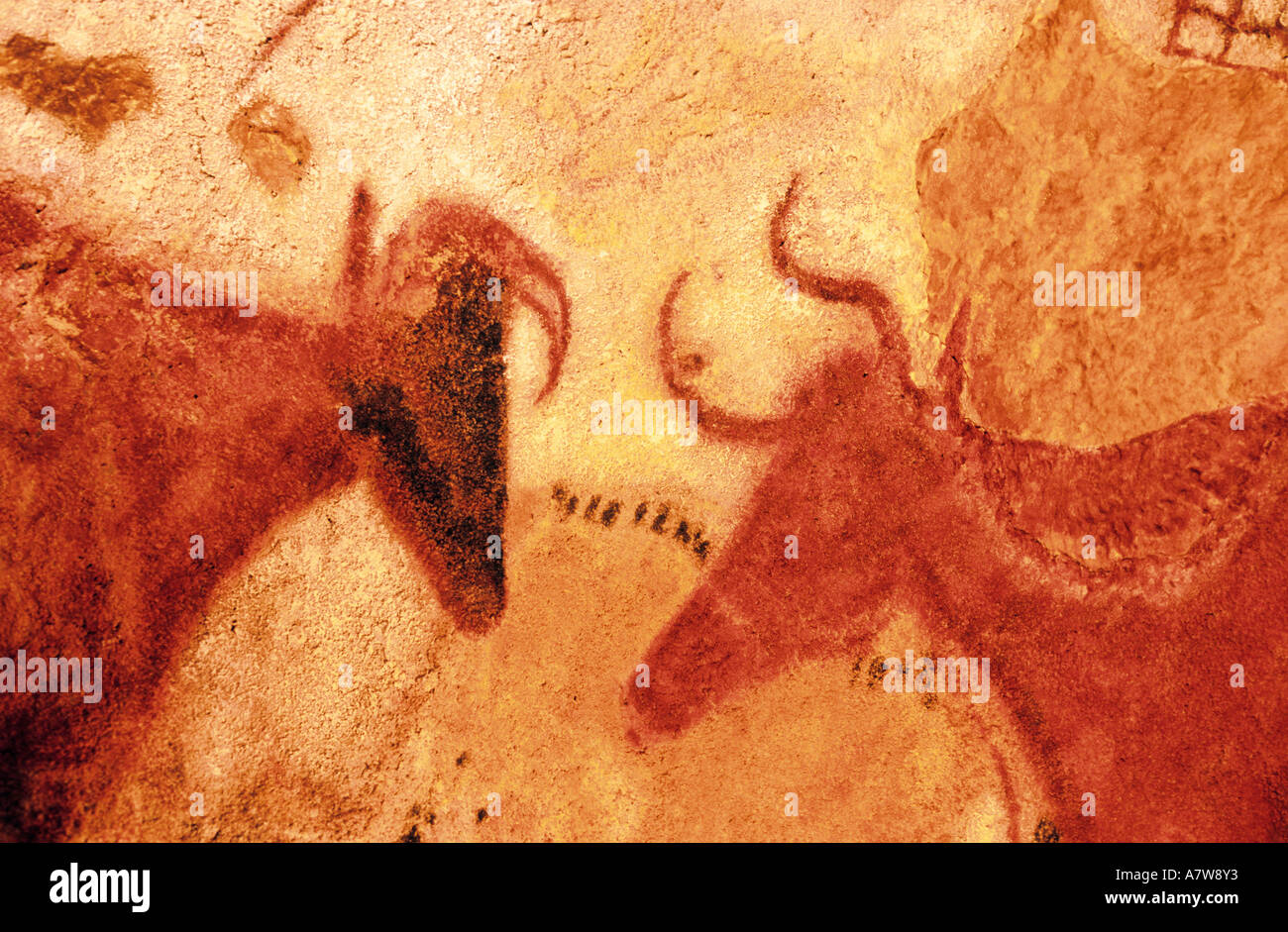 Pitture grotte di lascaux immagini e fotografie stock ad alta ...