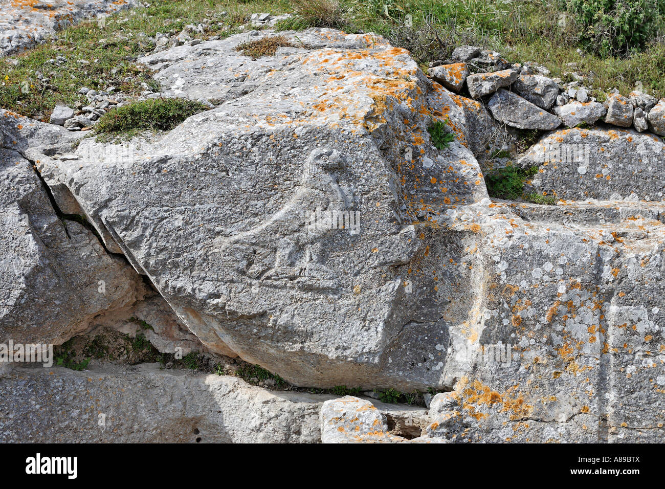 Simbolo zeus immagini e fotografie stock ad alta risoluzione - Alamy