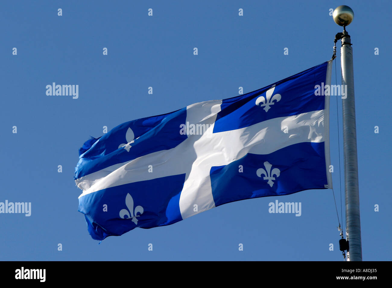 Bandiera del quebec fleur di lis immagini e fotografie stock ad alta ...