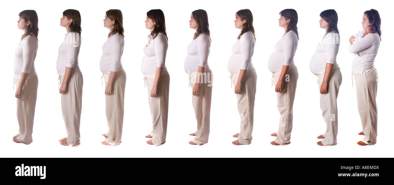 L'evoluzione dei nove mesi di gravidanza periodo termina con il neonato ...