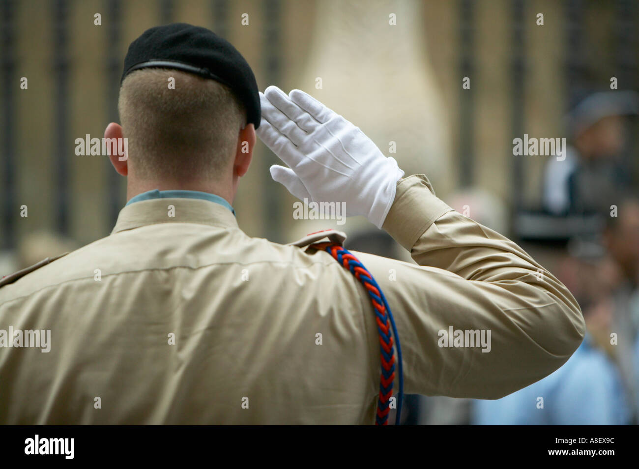 Saluto del soldato dell'esercito immagini e fotografie stock ad alta ...