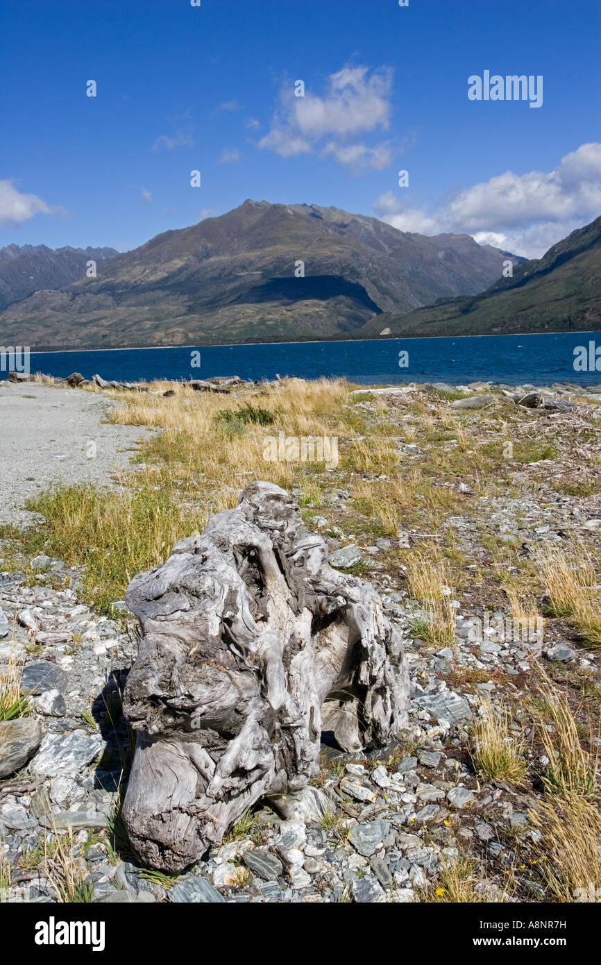 Formato circa 10000 anni fa immagini e fotografie stock ad alta ...