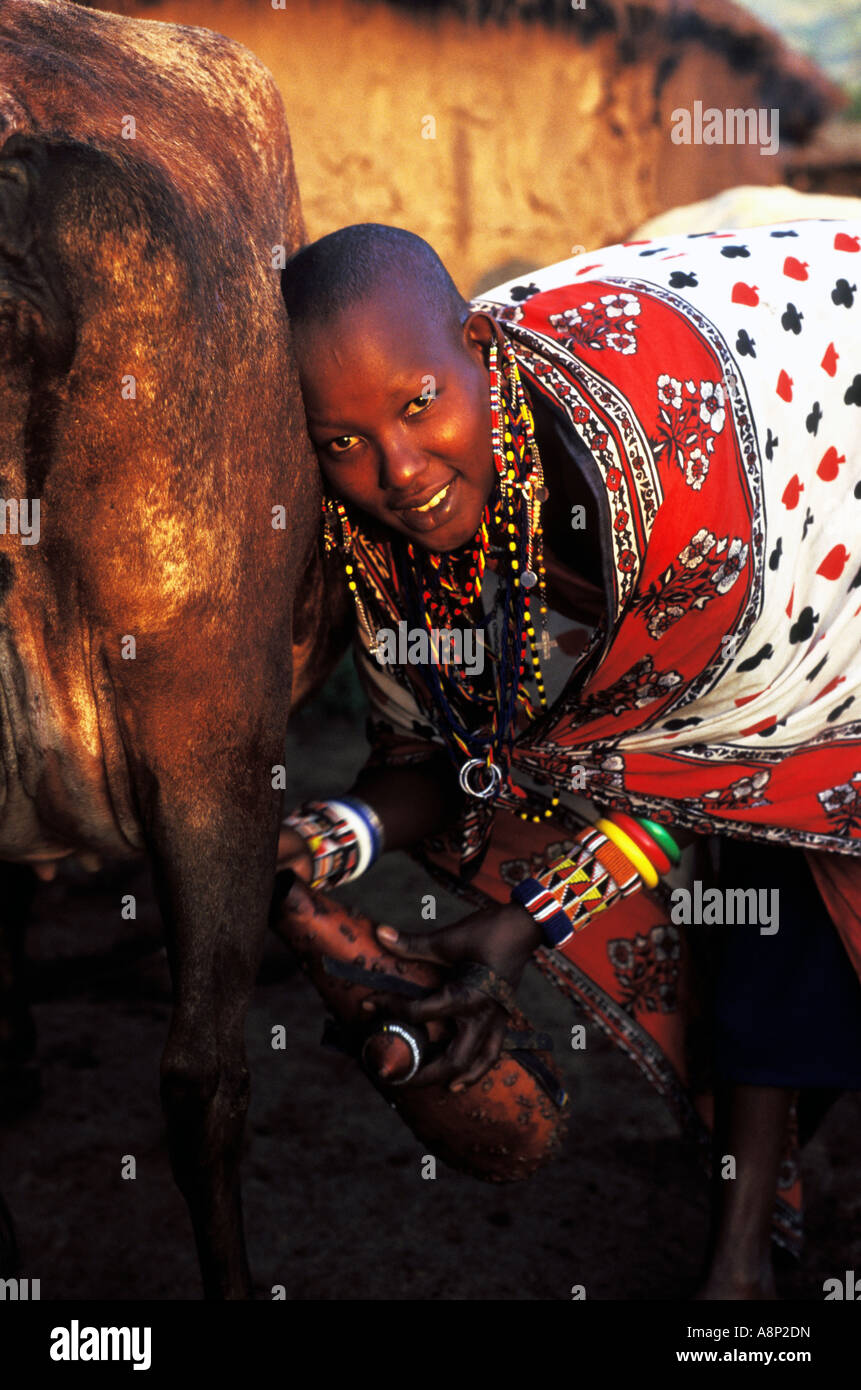 Mungitura della mucca della donna immagini e fotografie stock ad alta ...