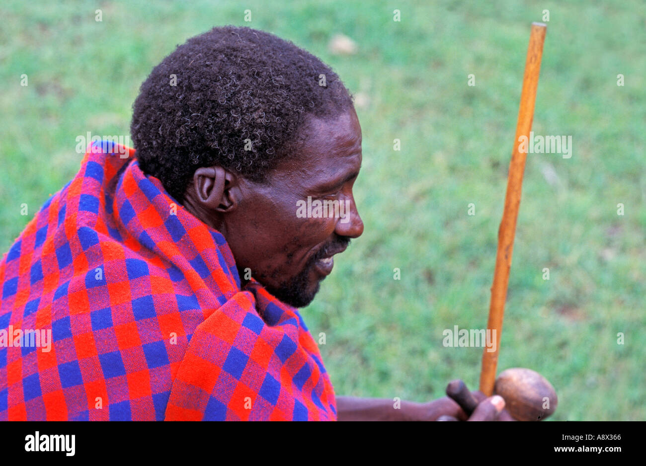 Orecchio avvolto immagini e fotografie stock ad alta risoluzione - Alamy