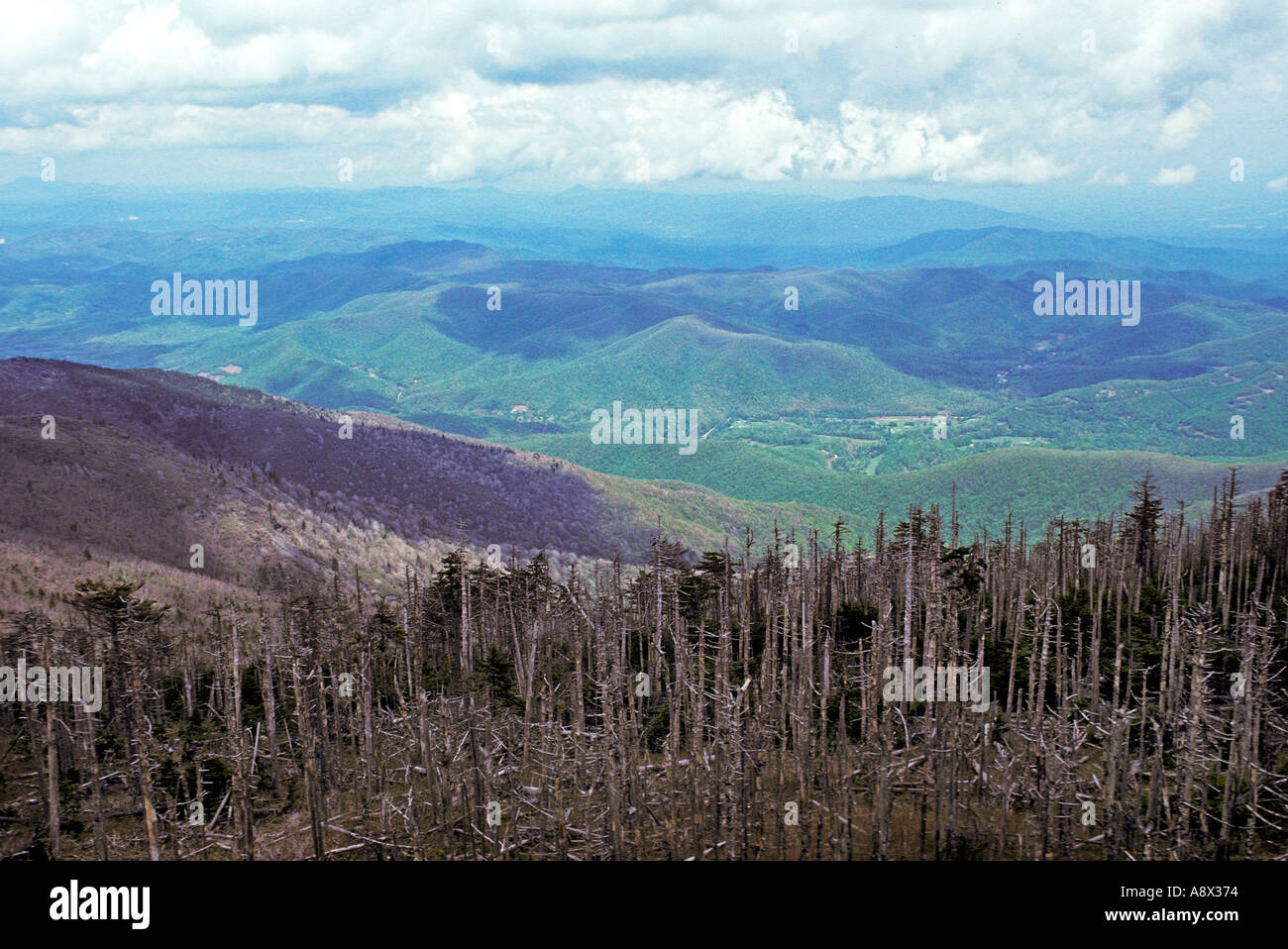 Pioggia acida immagini e fotografie stock ad alta risoluzione - Alamy