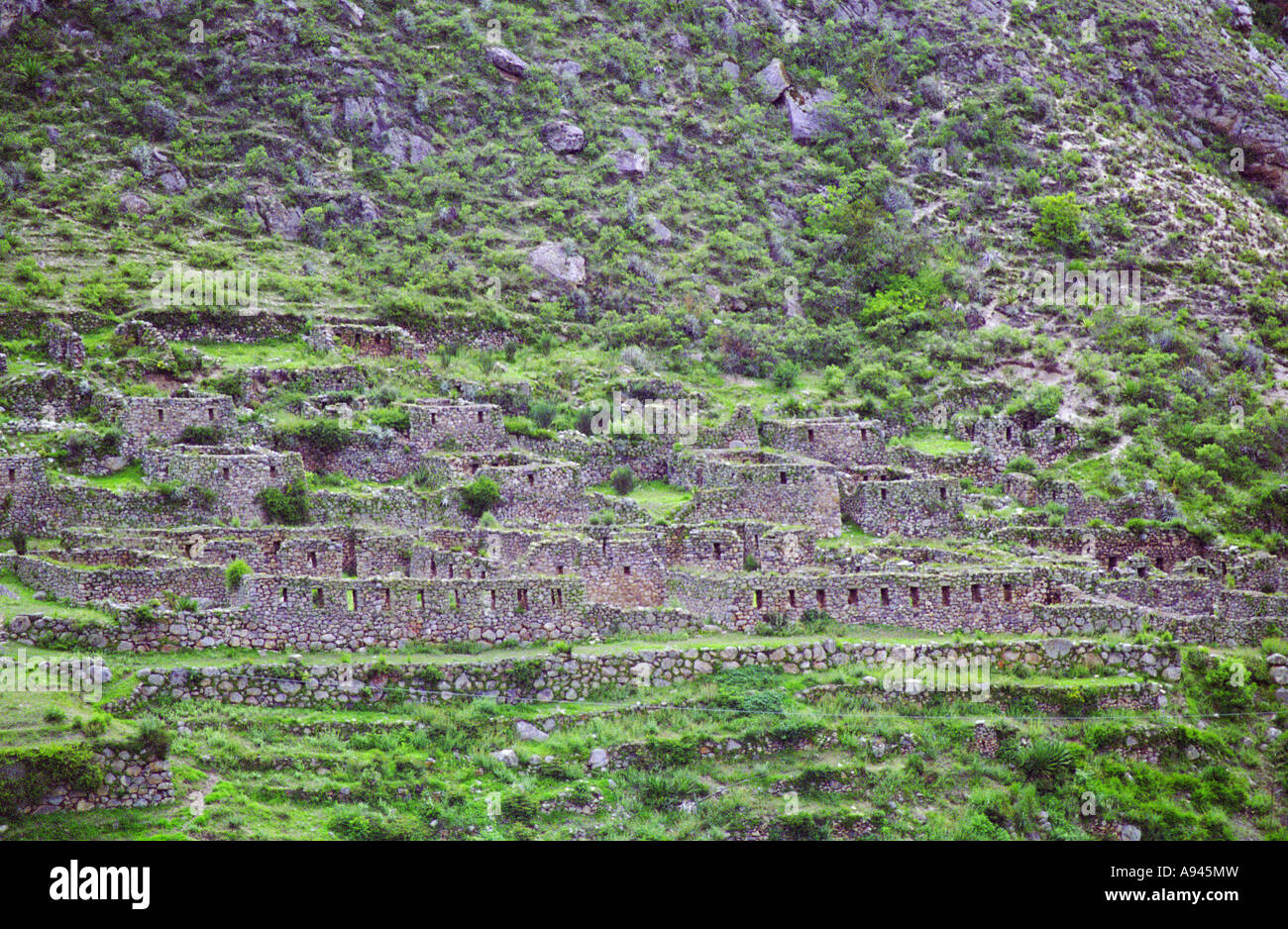 Piccoli terrazzamenti rovine inca sul cammino degli Inca alla scoperta ...