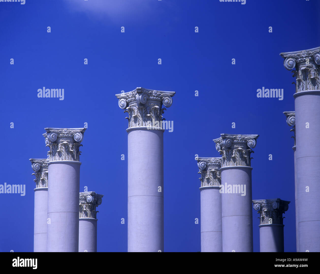 Colonne in stile corinzio immagini e fotografie stock ad alta ...