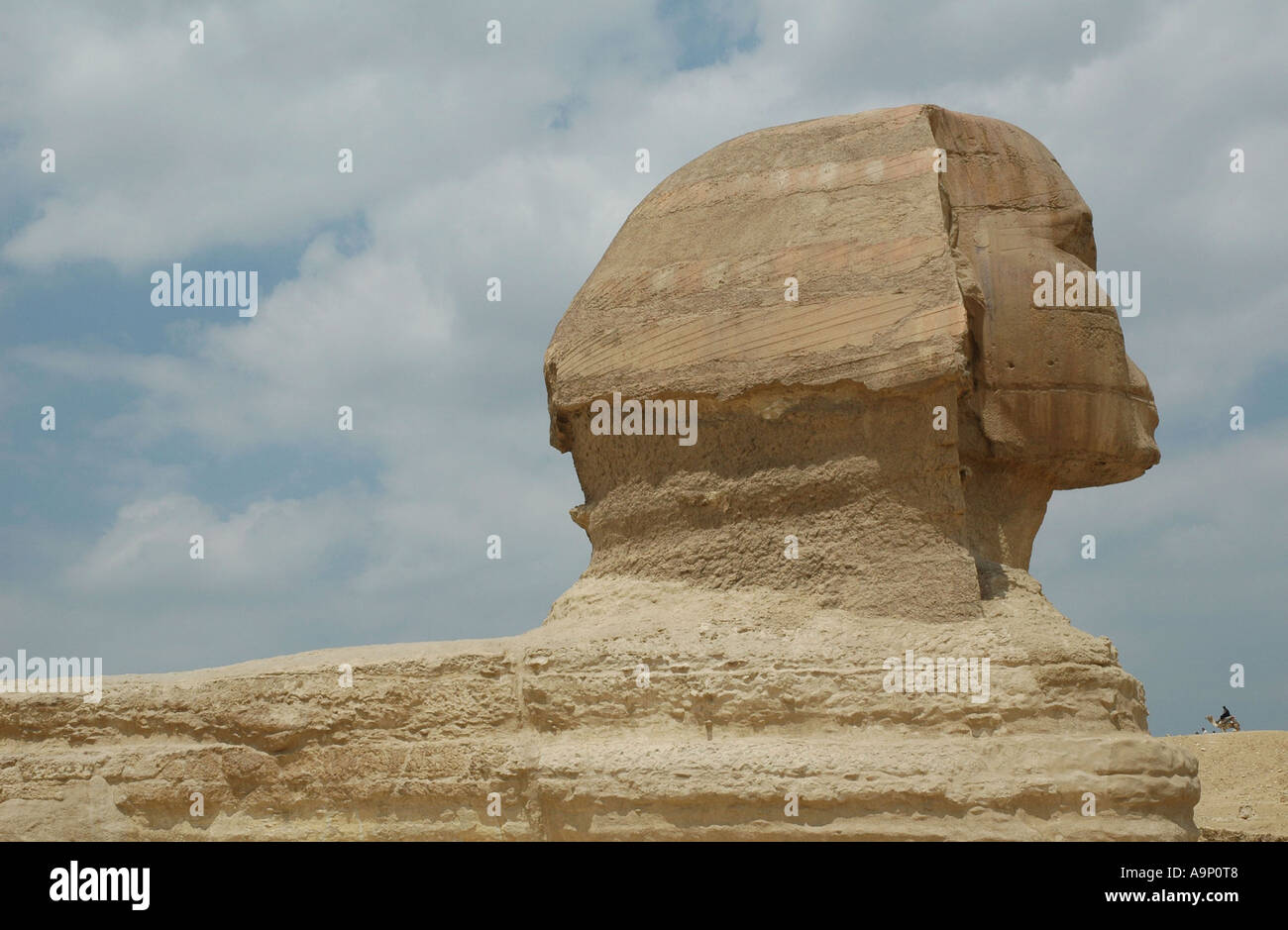 Statua della sfinge arcaica immagini e fotografie stock ad alta ...