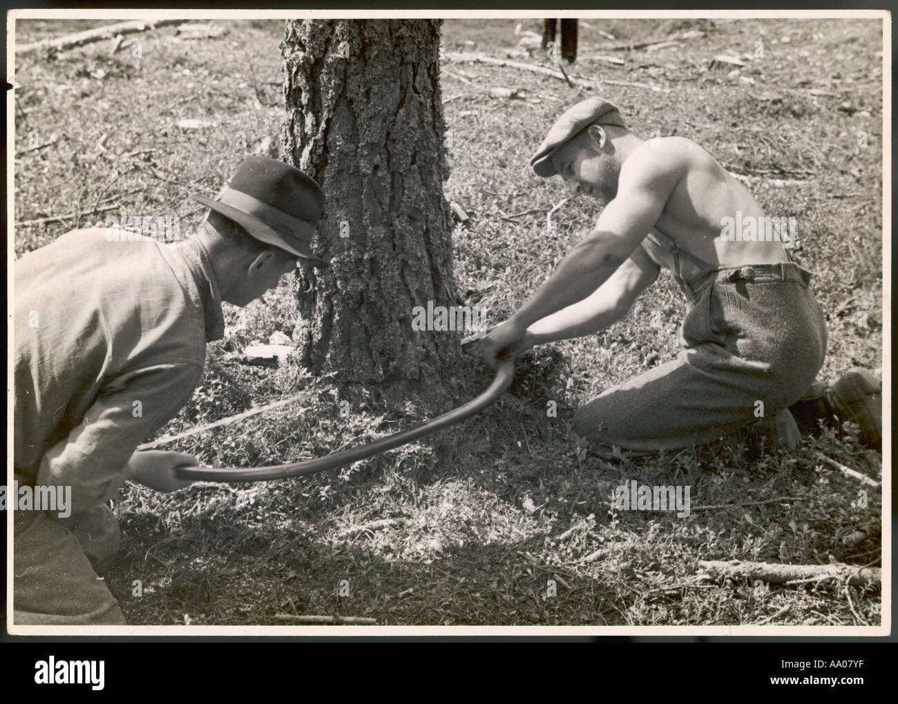 Base per sega immagini e fotografie stock ad alta risoluzione - Alamy