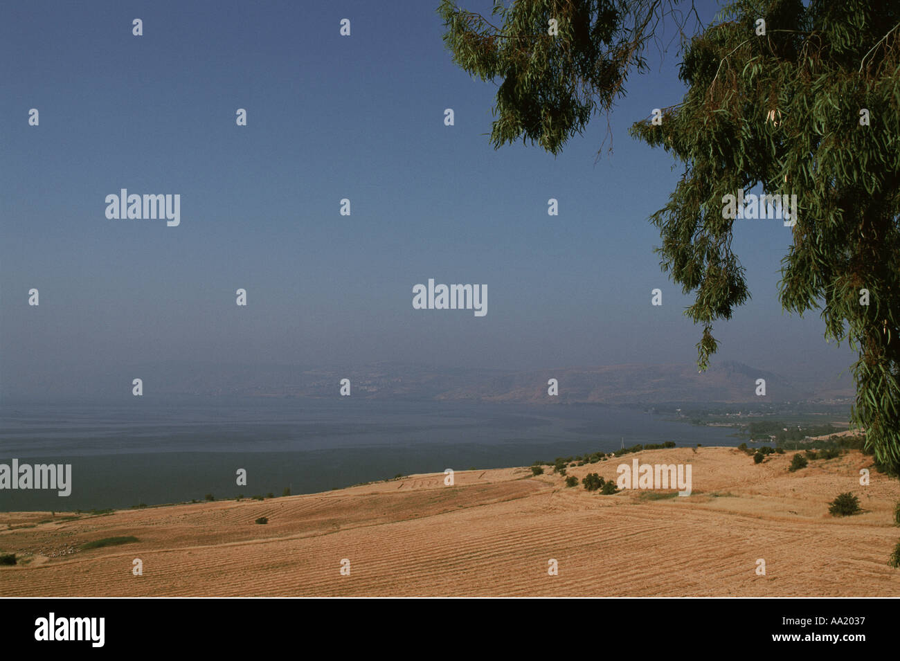 Lago di tiberiade immagini e fotografie stock ad alta risoluzione - Alamy