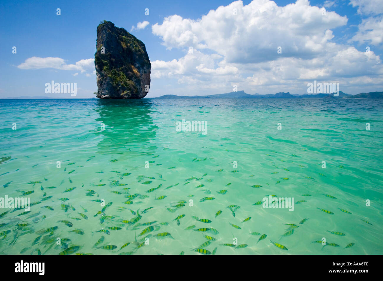Koh Poda Beach Krabi, nel sud della Thailandia, pesci tropicali Foto ...