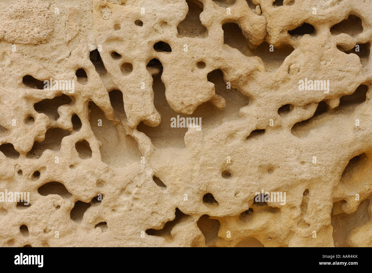 Costruzione in pietra arenaria immagini e fotografie stock ad alta ...