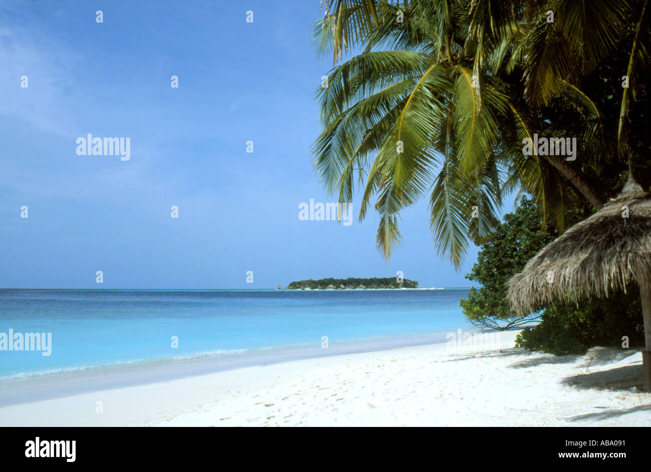 Spiaggia tipica delle maldive immagini e fotografie stock ad alta ...