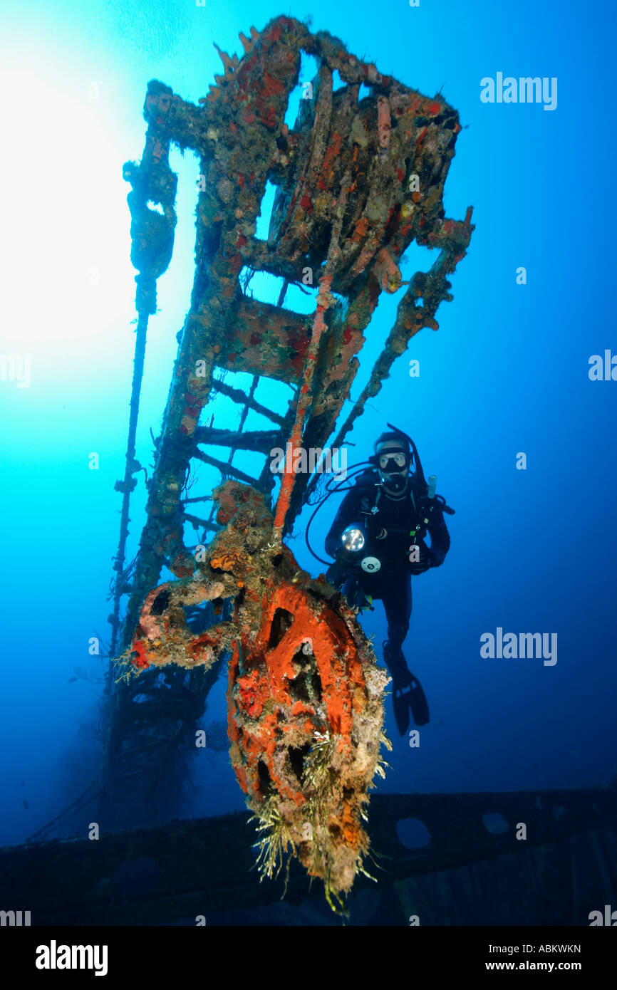 Gru affondata immagini e fotografie stock ad alta risoluzione - Alamy
