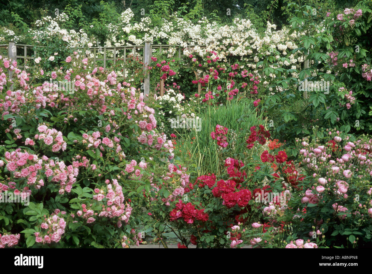 Mannington hall immagini e fotografie stock ad alta risoluzione - Alamy