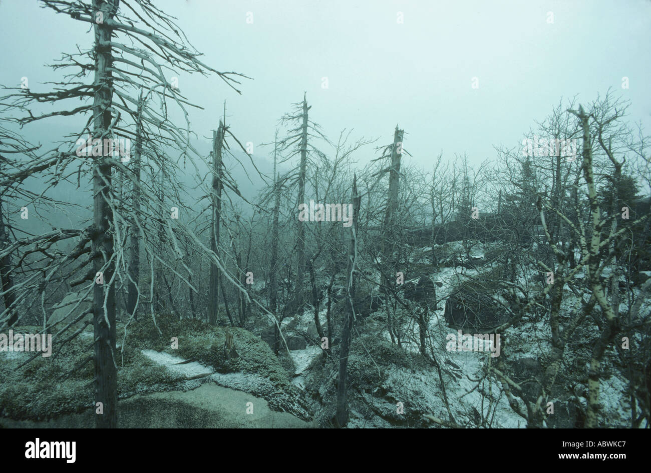 Pioggia acida immagini e fotografie stock ad alta risoluzione - Alamy