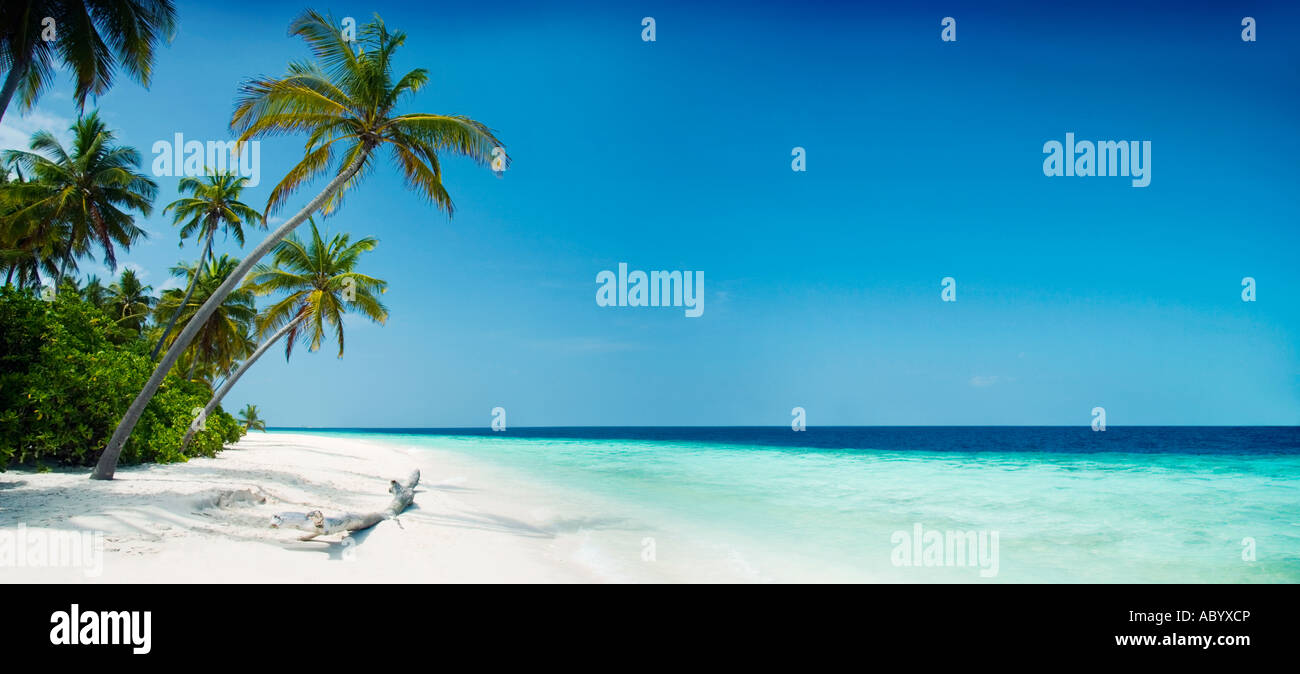 The maldives immagini e fotografie stock ad alta risoluzione - Alamy