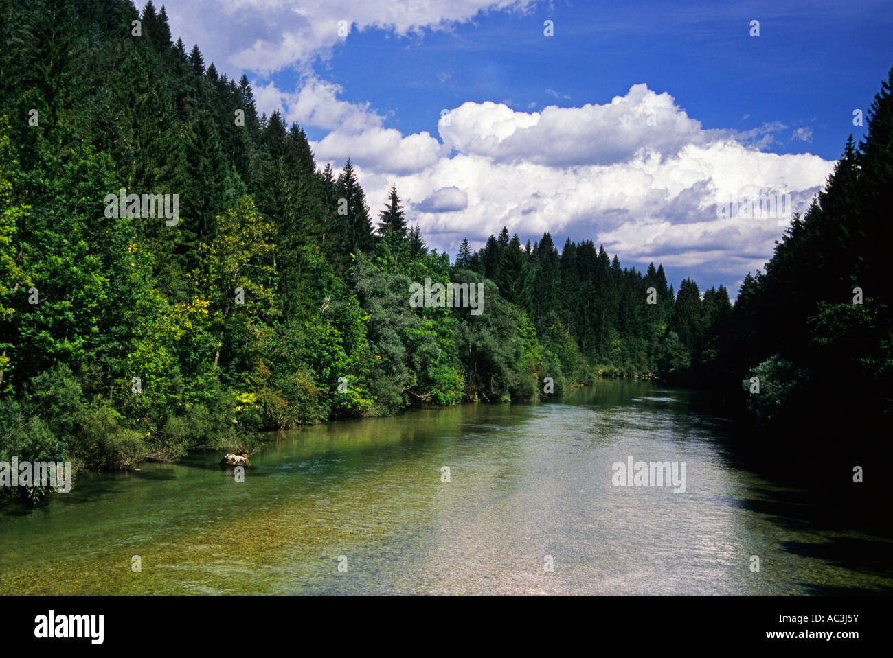 Sava dolinka river triglav national park immagini e fotografie stock ad ...