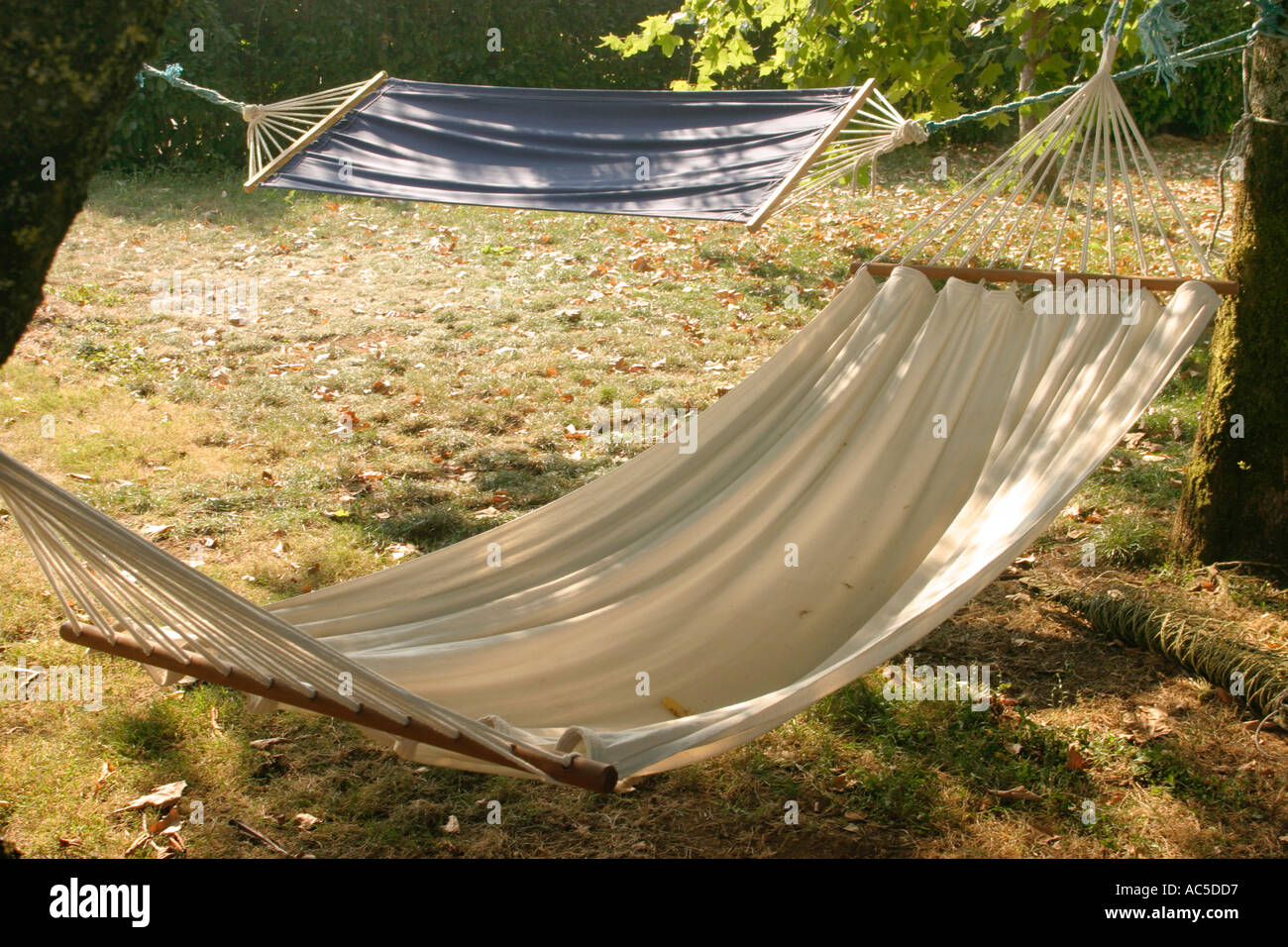 Amache ombreggiate immagini e fotografie stock ad alta risoluzione - Alamy