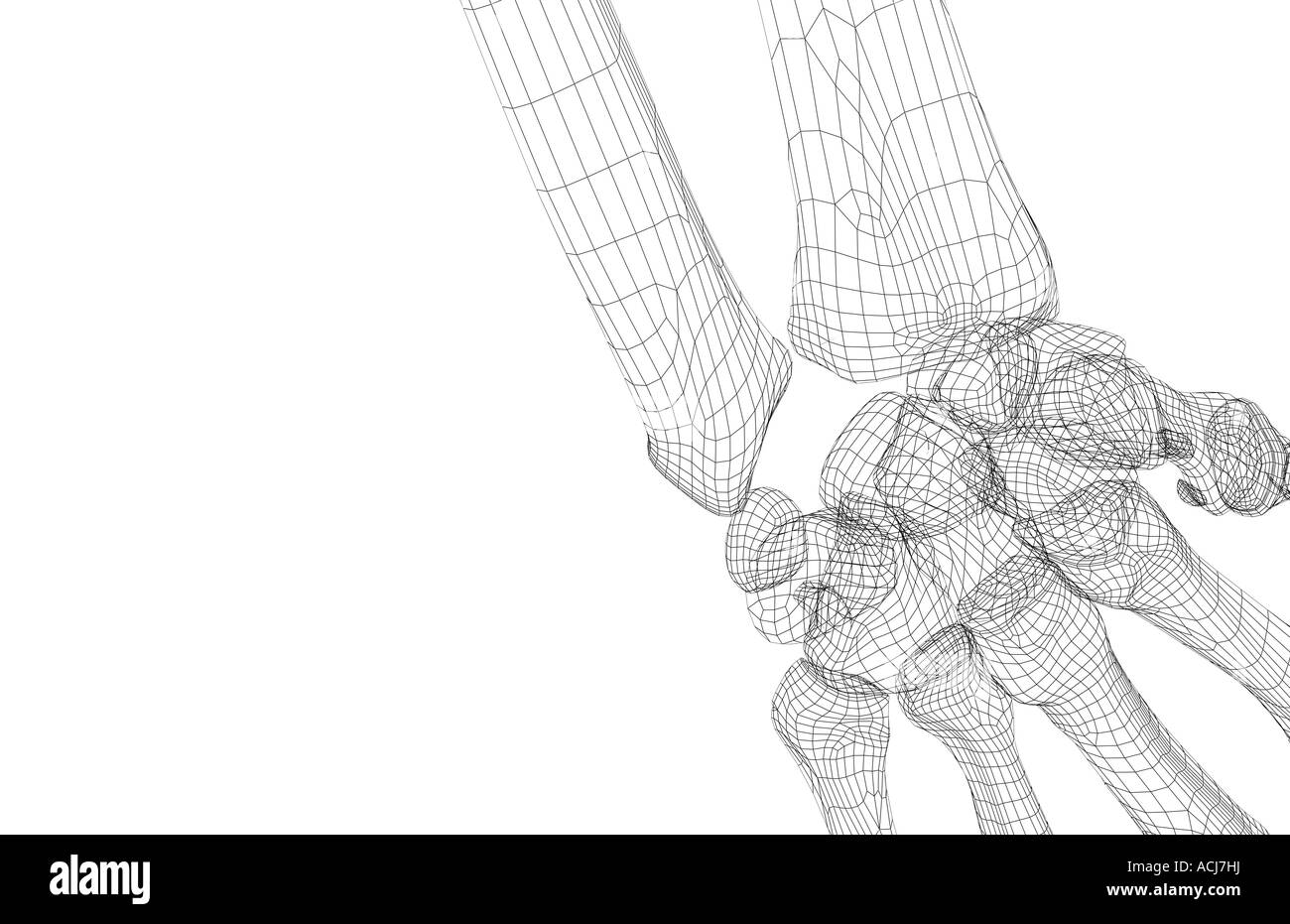 Anatomia del polso carpale immagini e fotografie stock ad alta ...