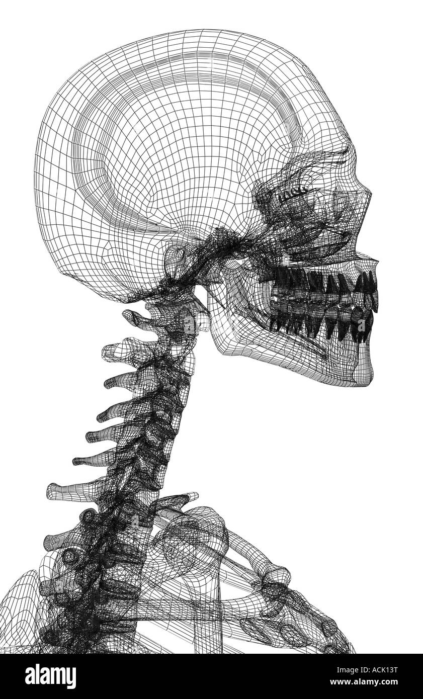 Anatomia Del Collo Foto e Immagini Stock in Bianco e Nero - Alamy