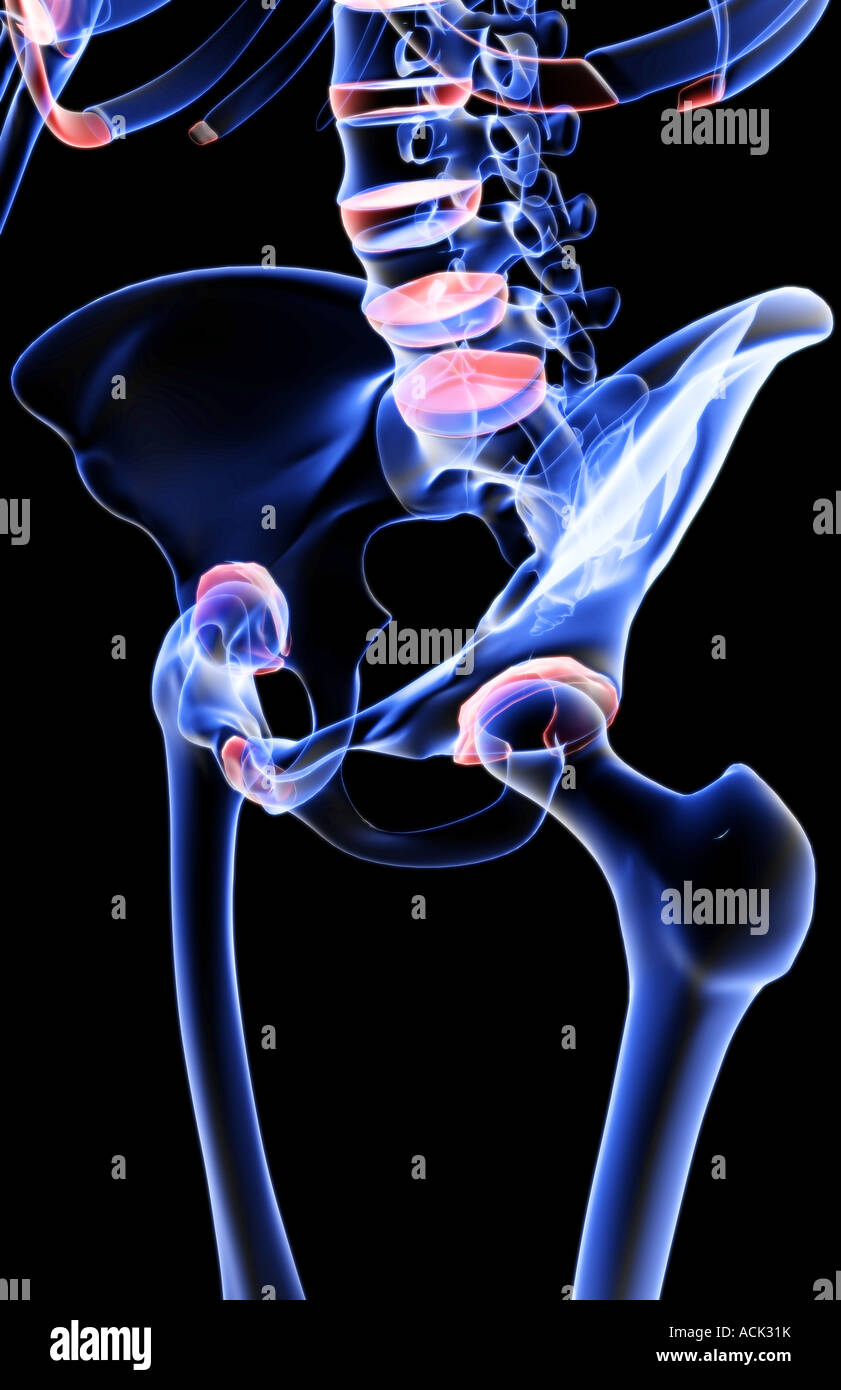 Radiografia delle ossa pelviche immagini e fotografie stock ad alta ...