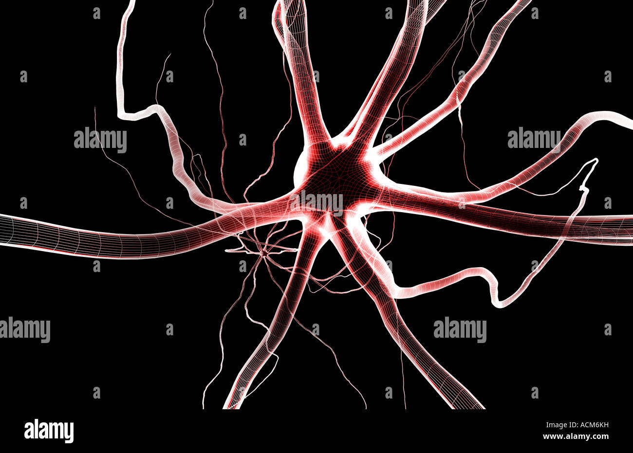 Neurone motore immagini e fotografie stock ad alta risoluzione - Alamy